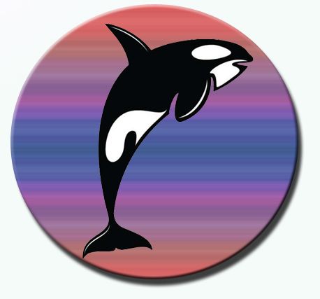 Whales Coin (WC) – rug.ninja