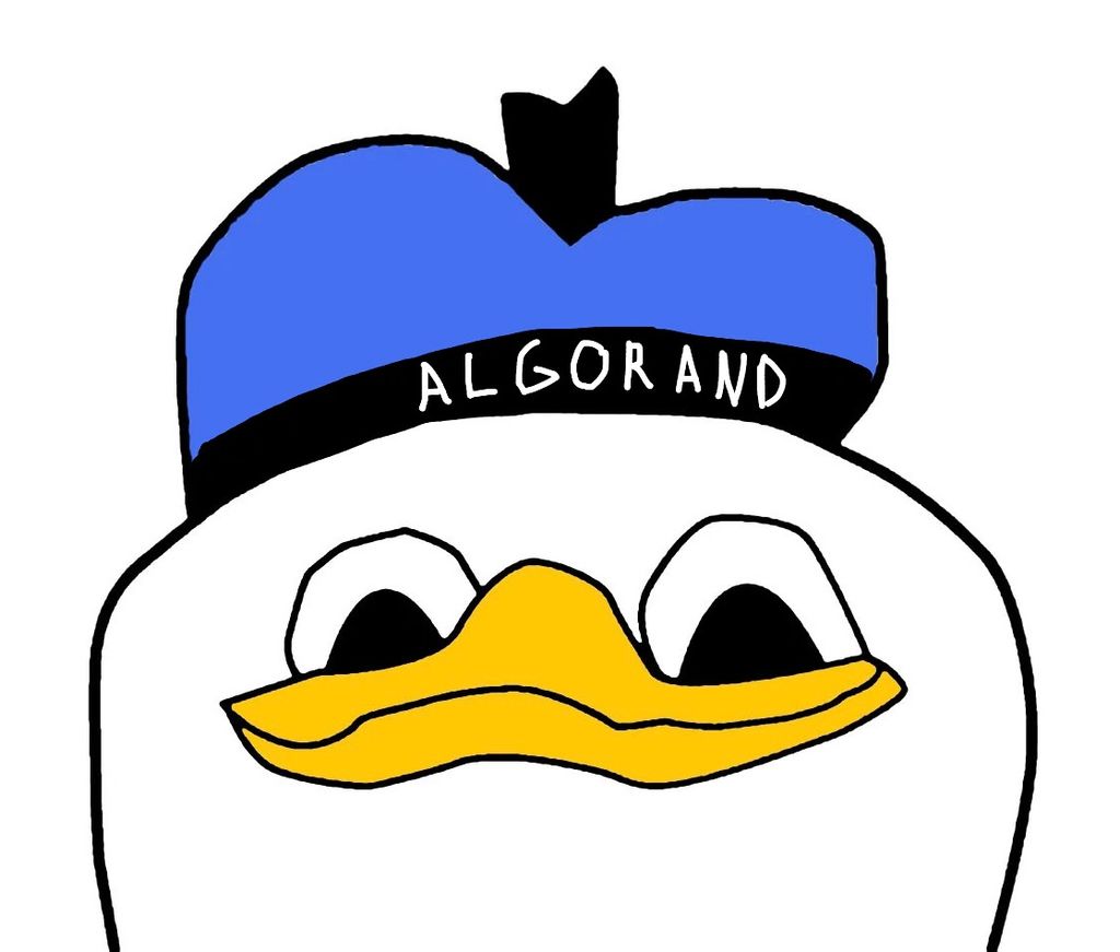 Dolan Duck (DOLAN) – rug.ninja