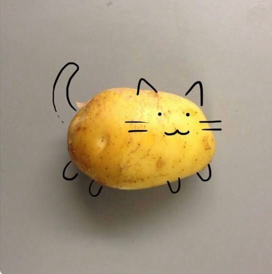 Mee Maw (MeeMaw) – rug.ninja