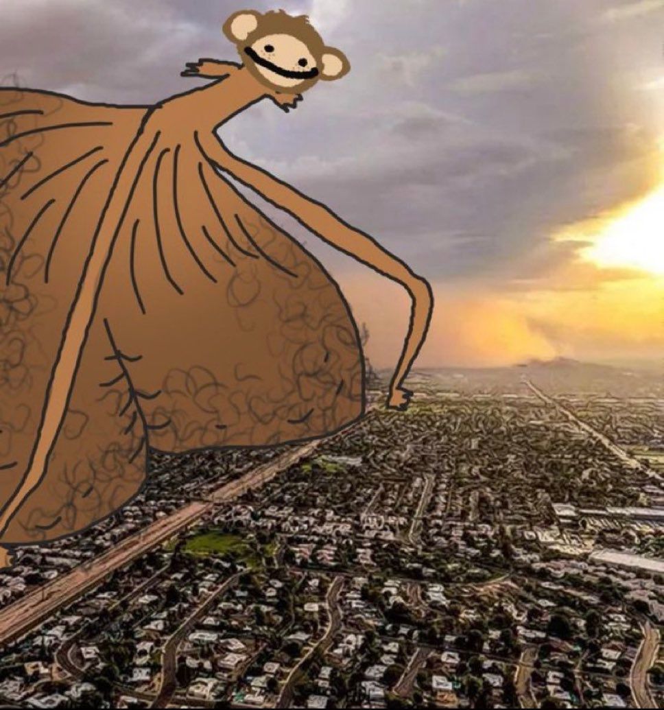 Ball Sack (BALLSACK) – rug.ninja