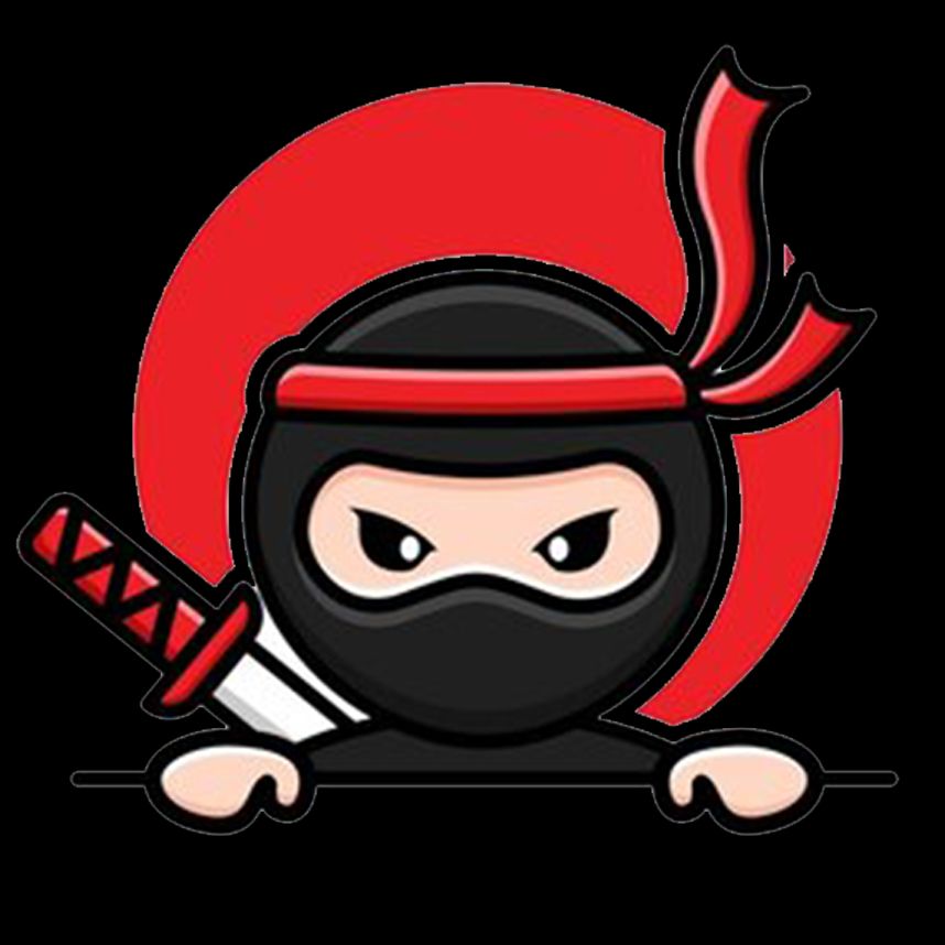 NINJA (NINJA) – rug.ninja