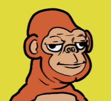 monko ($monko) – rug.ninja