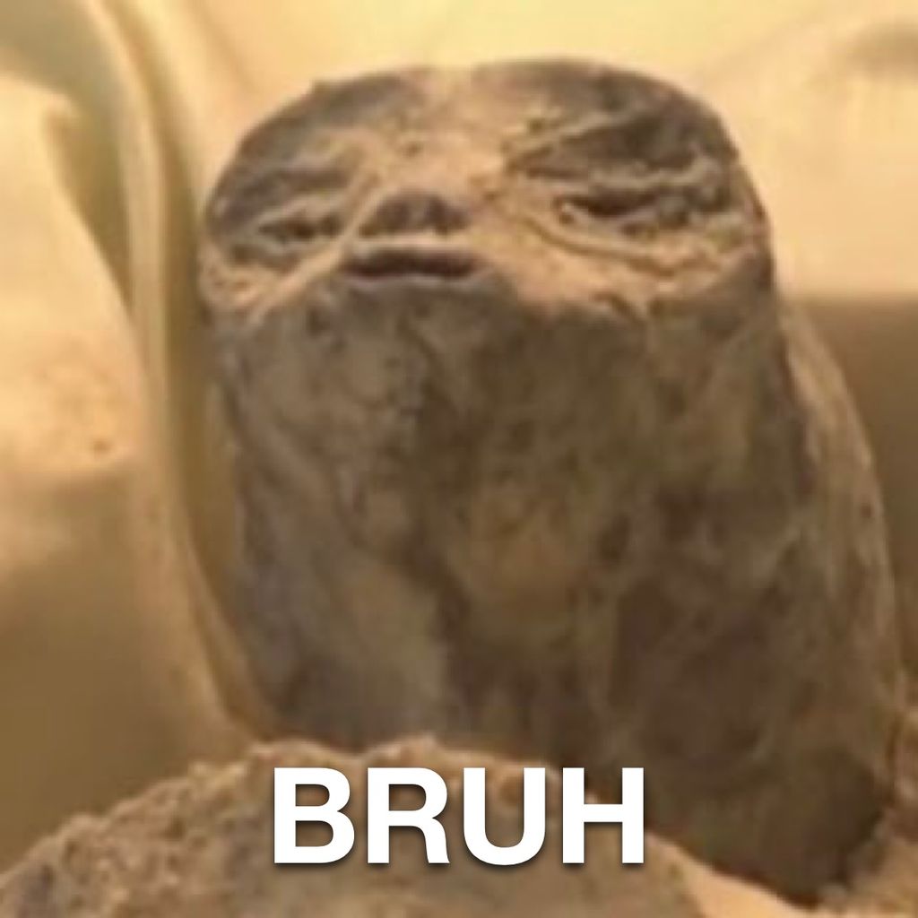 BRUH ($BRUH) – rug.ninja